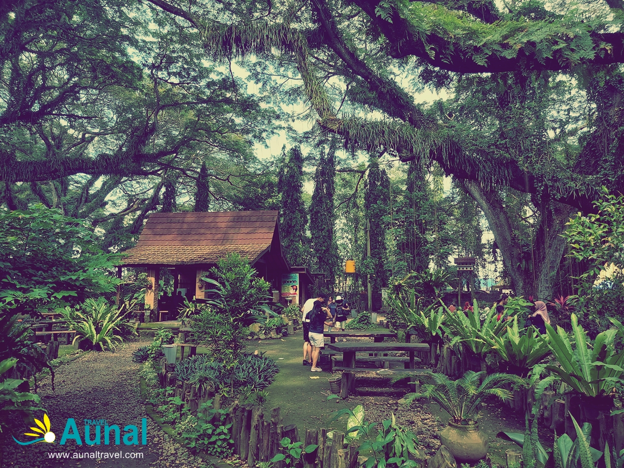 10 Tempat Wisata Populer Bertemakan Alam di Banyuwangi | AUNAL Travel