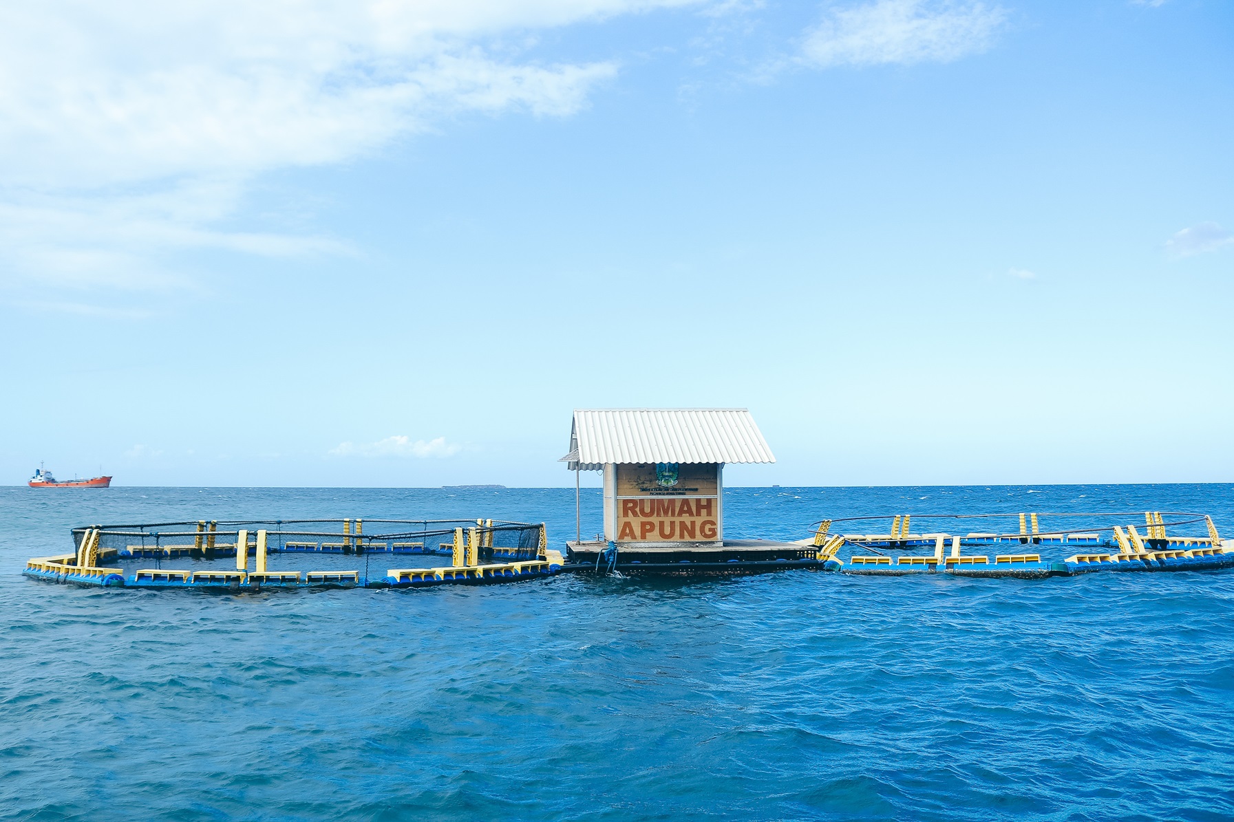 Bangsring Underwater Wisata Banyuwangi | AUNAL Travel